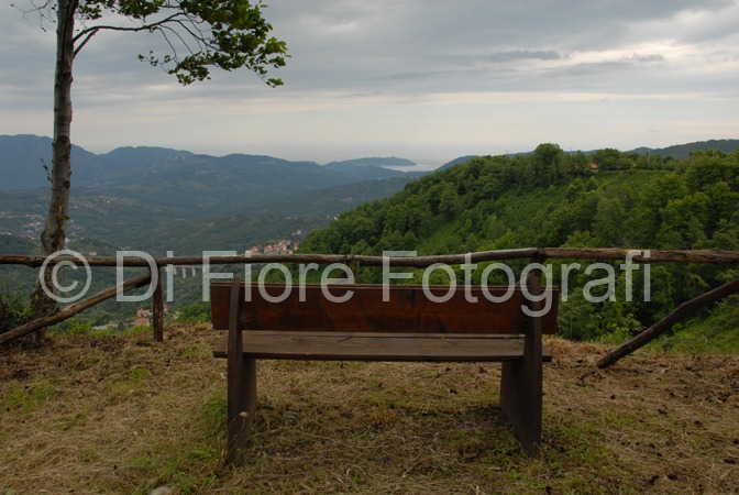 Se sognate il vostro matrimonio in uno scenario da favola , in una ...